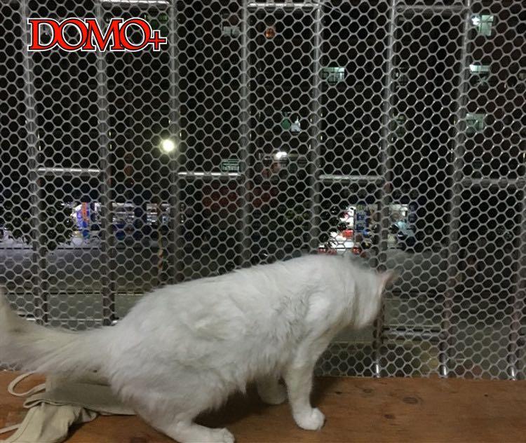 Cat protect mesh for window gate balcony PVC wire mesh /cat bird small ...
