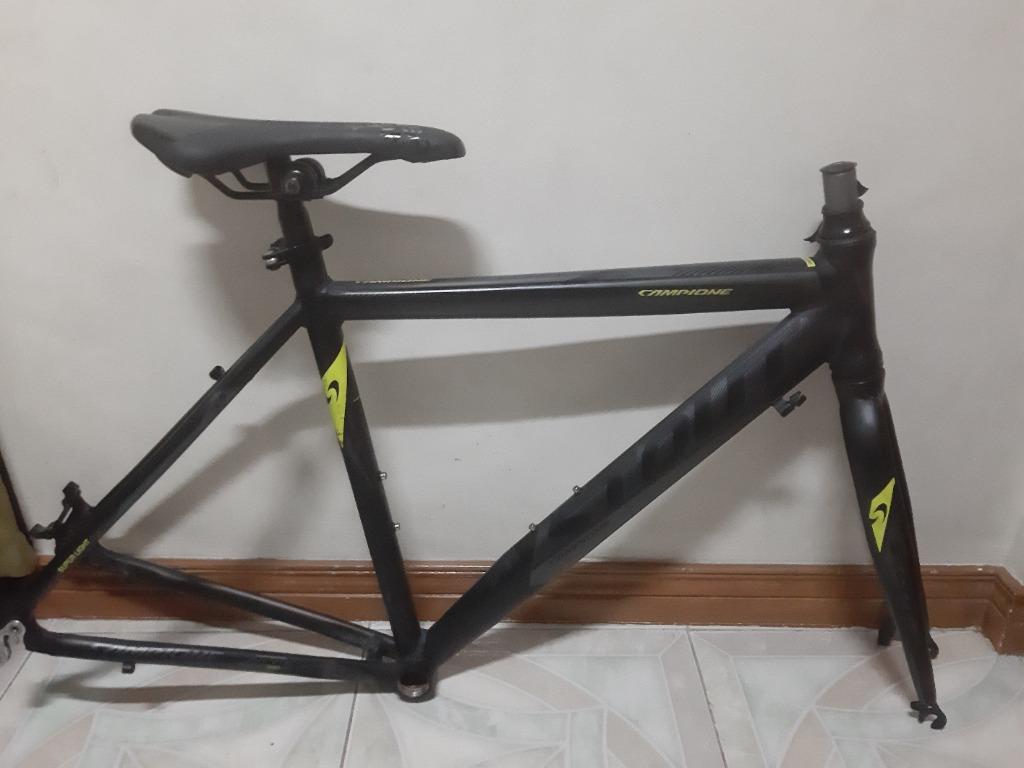 Stout Campione Frameset Road bike racer bike, Sports Equipment ...