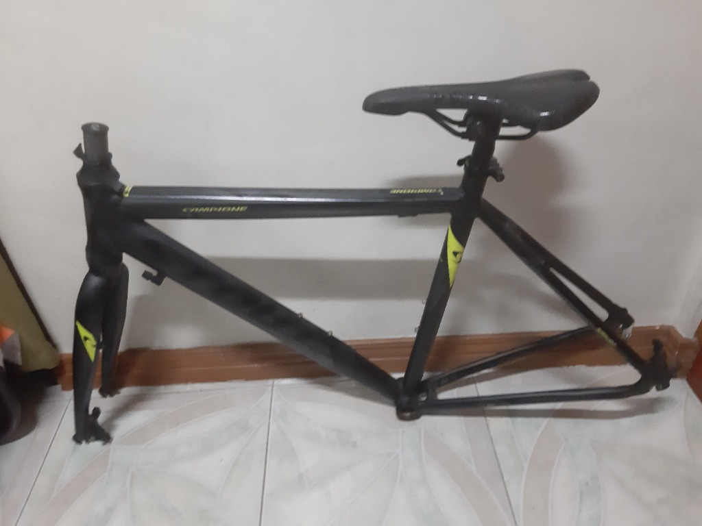 Stout Campione Frameset Road bike racer bike, Sports Equipment ...