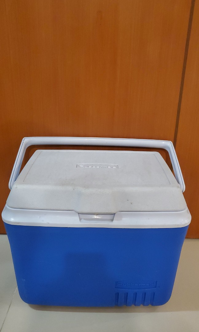 Rubbermaid 24 Litre Cooler Box, Furniture & Home Living, Kitchenware ...