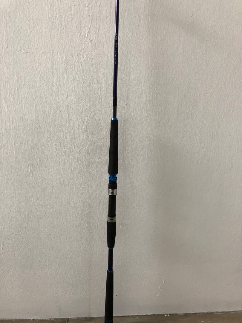 Seahawk Jig Runner Spinning Rod, Sports Equipment, Fishing on Carousell