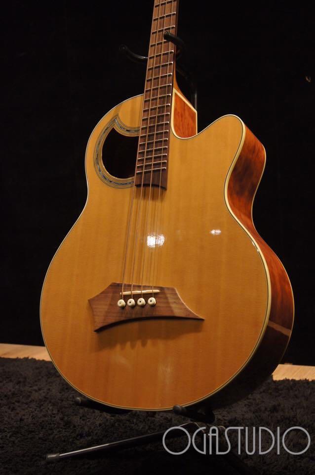 Warwick Alien Acoustic Bass, 興趣及遊戲, 音樂、樂器 & 配件, 樂器 - Carousell