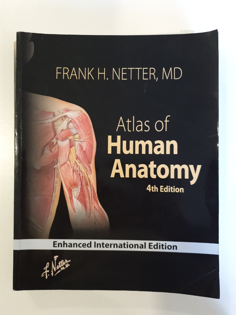Netter's Atlas of Human Anatomy (Frank H. Netter), Books & Stationery ...