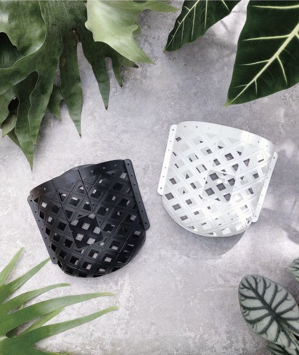 Plastic staghorn fern mounting basket, Furniture & Home Living ...