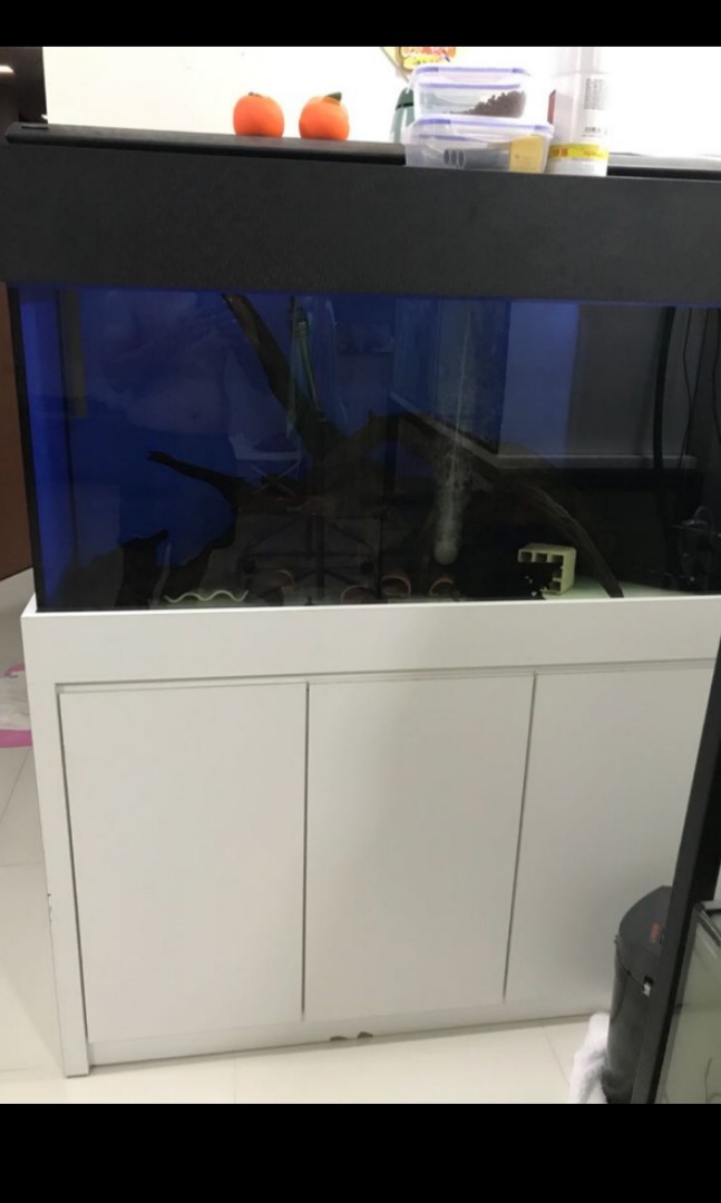 4ft tank w sump and cabinet, Pet Supplies, For Fish, Fish Tanks on ...