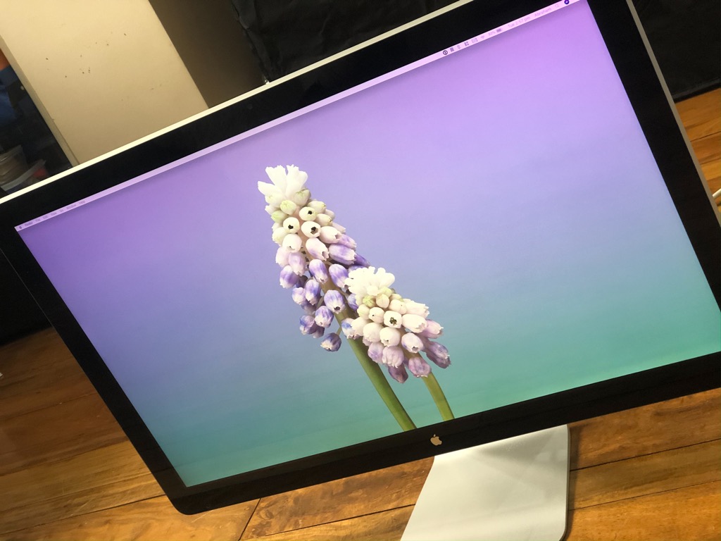 Model: Apple Thunderbolt Display (27-inch) - 2560x1440 - A1407 ...