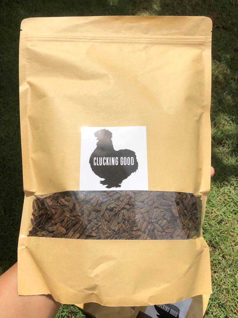 [POPULAR!] Dried BSF Larvae/Powder, Pet Supplies, Pet Food on Carousell