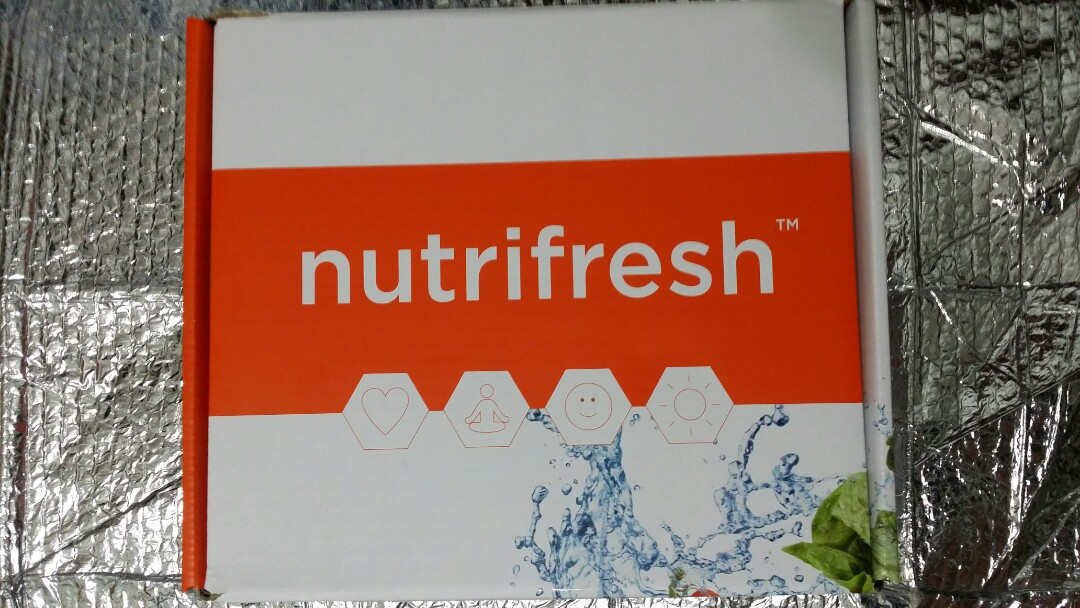 全新Nutrifresh 1.7L煲, 家庭電器, 廚房電器, 水壺 - Carousell
