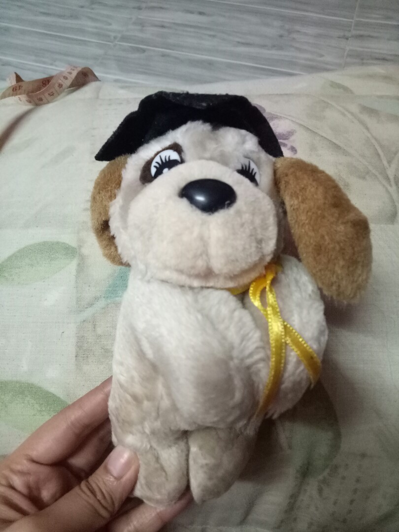 stuffed toy - Dog with Graduation hat and yellow ribbon, Hobbies & Toys ...