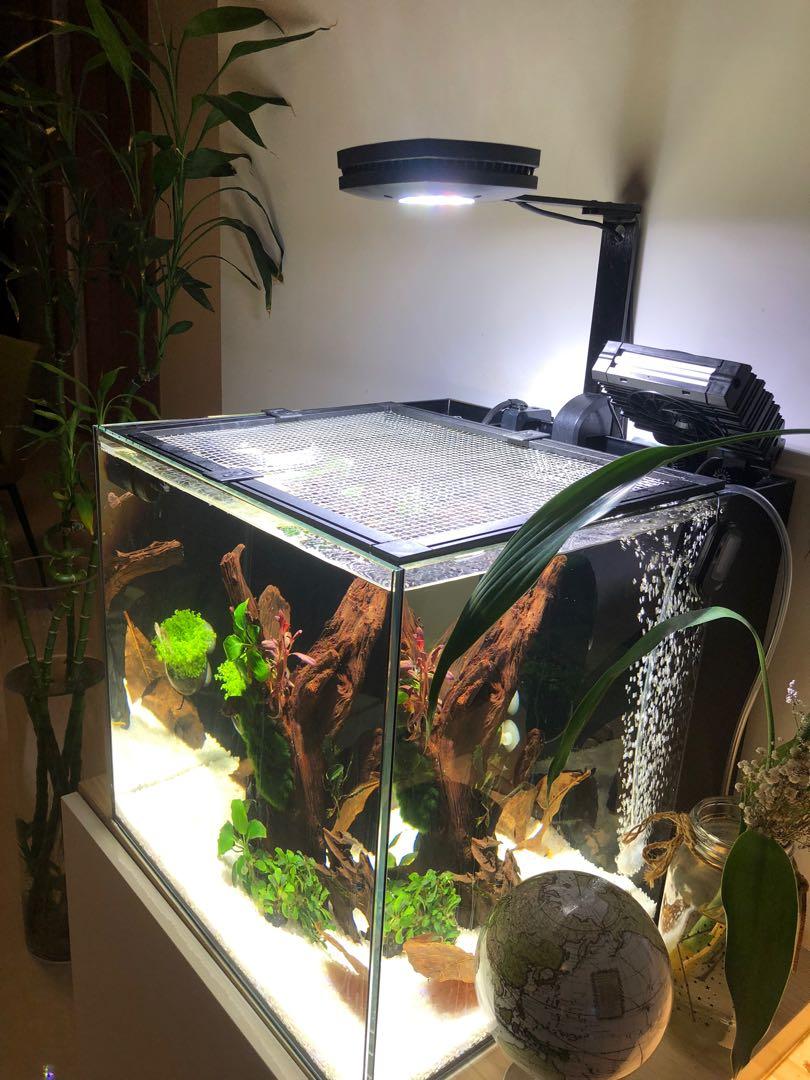 AMAZING DEAL !!! AIO WaterBox 15 gallon + Tunze pump + AI Prime Hd ...