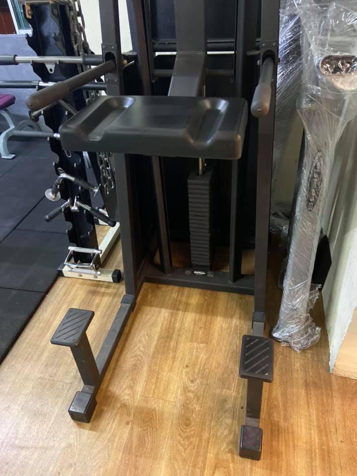 Stair master stairmaster Gravitron 2000AT assisted assist dip chip pull ...