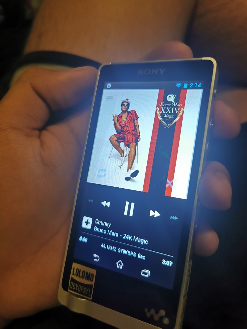 Sony Nw zx1, Audio, Voice Recorders on Carousell