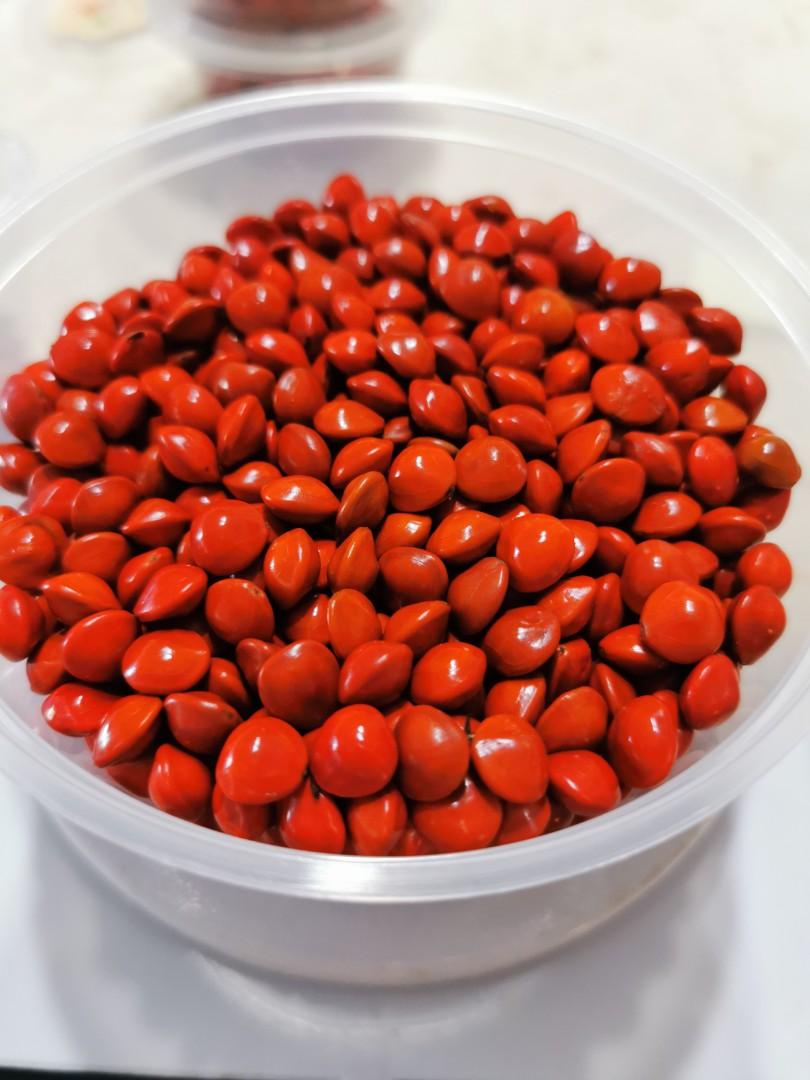 350g Love seeds / saga seeds, Hobbies & Toys, Stationery & Craft, Craft ...
