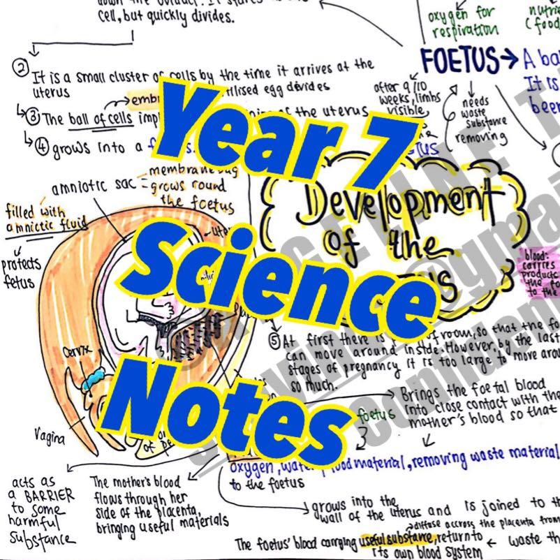 KS3 Year 7 Science Mind Maps to get A*, Hobbies & Toys, Books ...
