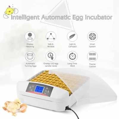 Anself 56 Eggs All-In-One Intelligent Full-automatic Egg Incubator ...
