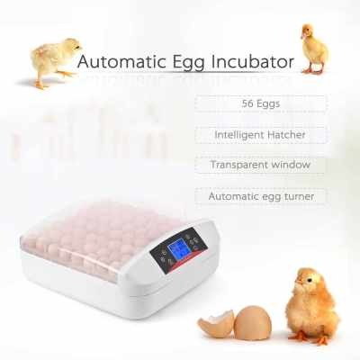Anself 56 Eggs All-In-One Intelligent Full-automatic Egg Incubator ...