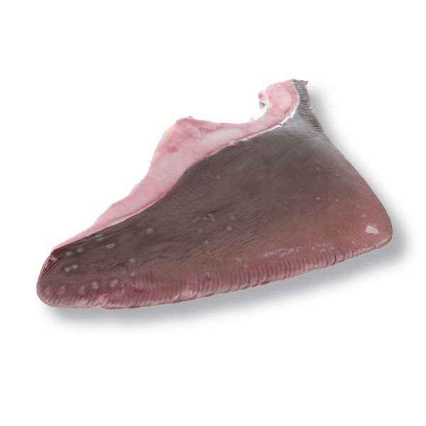 Frozen Stingray Fillet, Food & Drinks, Chilled & Frozen Food on Carousell