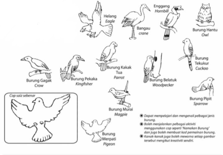 C- Cop Berjenis-Jenis Burung, Hobbies & Toys, Stationery & Craft ...