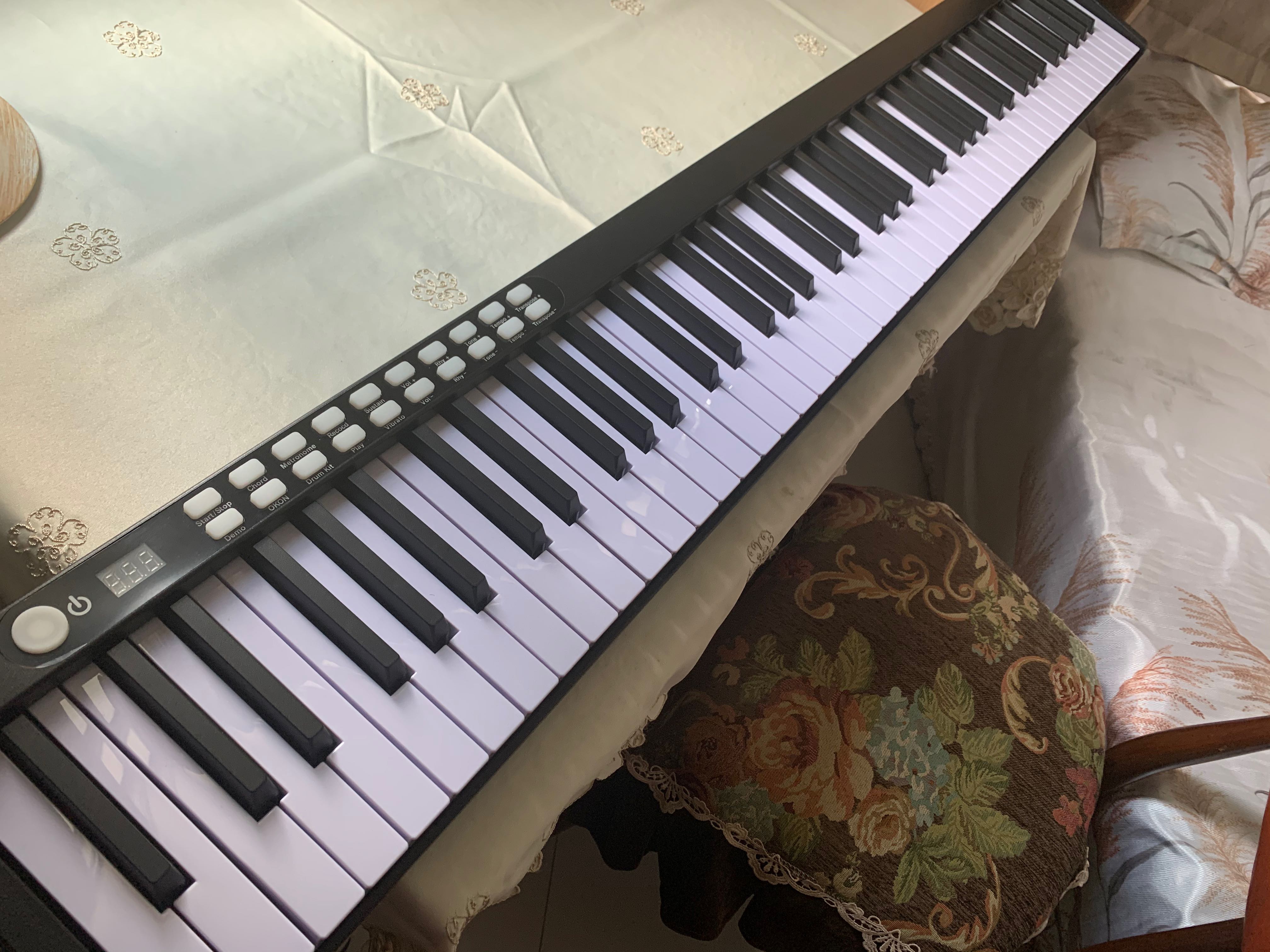 Piano Keyboards, Hobbies & Toys, Music & Media, Musical Instruments on ...