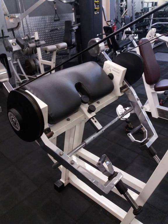 Technogym Isotonic line arm curl unilateral gym bicep hammer revolving ...