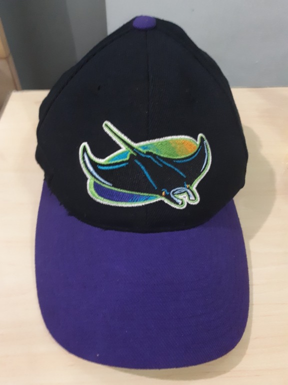 MLB Tampa Bay Devil Rays Vintage 90s Snapback Hat Cap American Needle ...