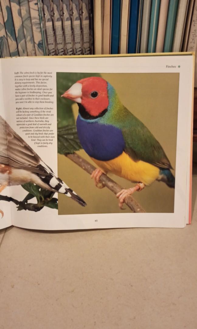 Book: A Practical Guide to Cage and Aviary Birds (bird feed health care ...