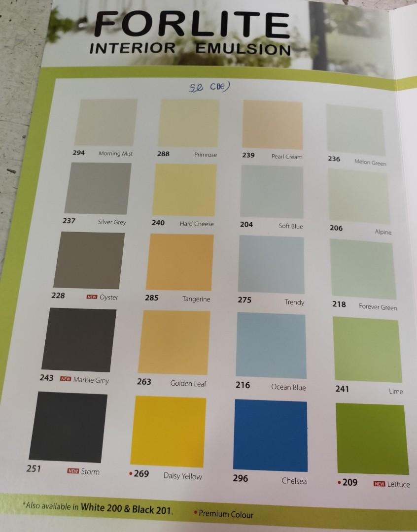 FOCUS Forlite 5L Premium Wall Paint (Colours), Everything Else on Carousell
