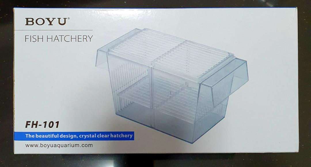 Boyu Fish Hatchery, Pet Supplies, Homes & Other Pet Accessories on ...