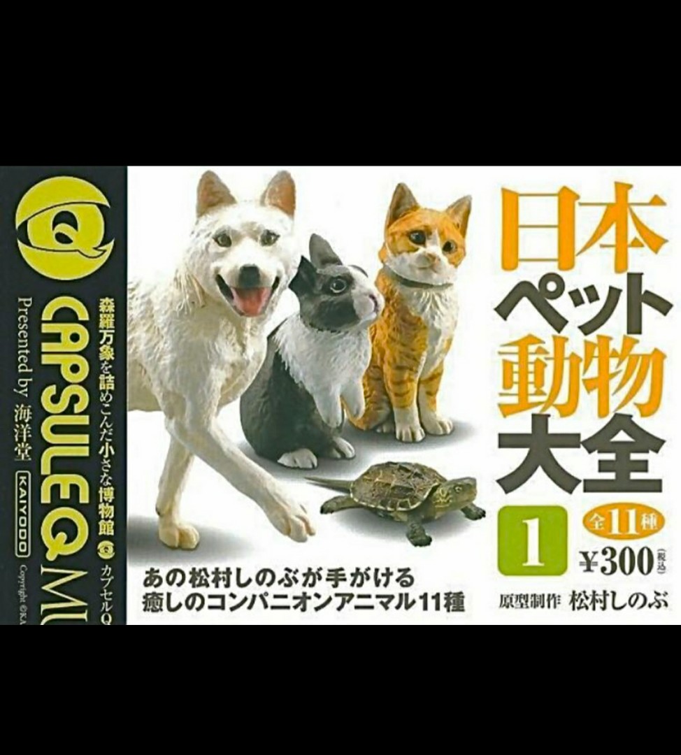 海洋堂Kaiyodo Capsule Q Museum日本動物大全 第一集 (全11種) 包括柴犬、家貓、兔及龜 Kitan 奇譚 動物扭蛋, 興趣及遊戲, 玩具 & 遊戲類 - Carousell