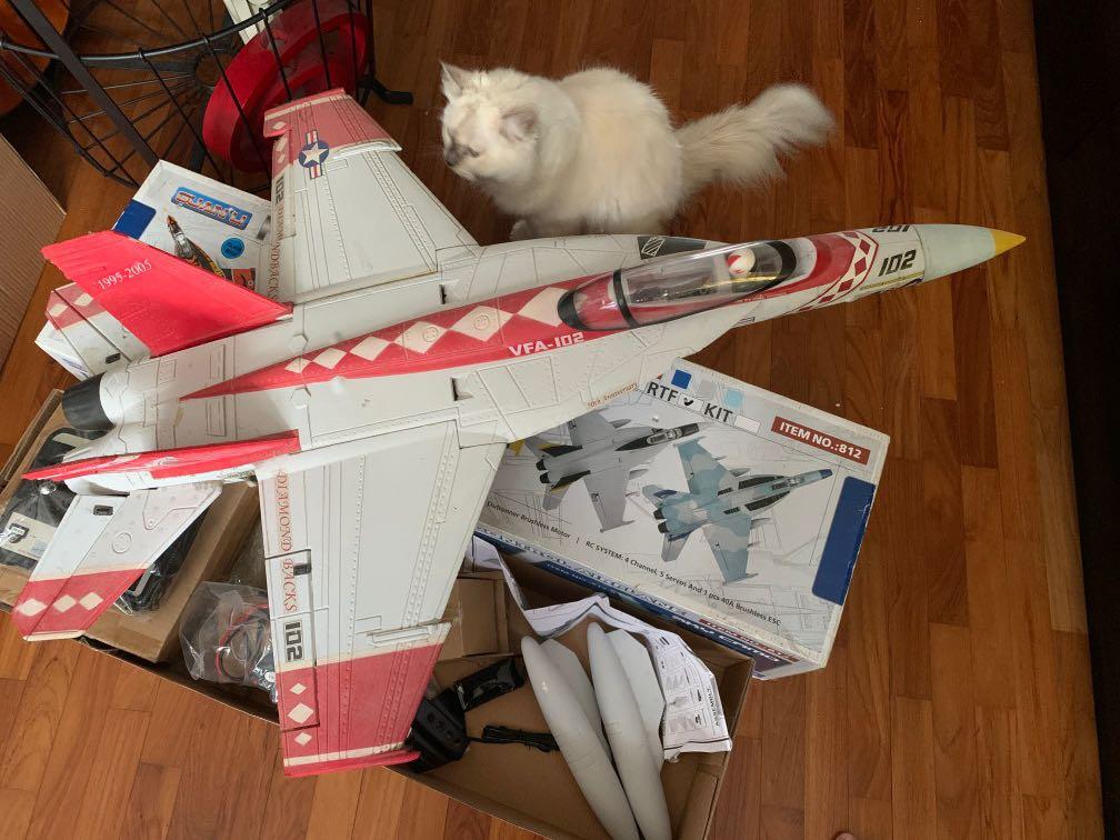 Remote Control Aeroplane F18 Fighter -SELLING AS PARTS ONLY, Hobbies ...