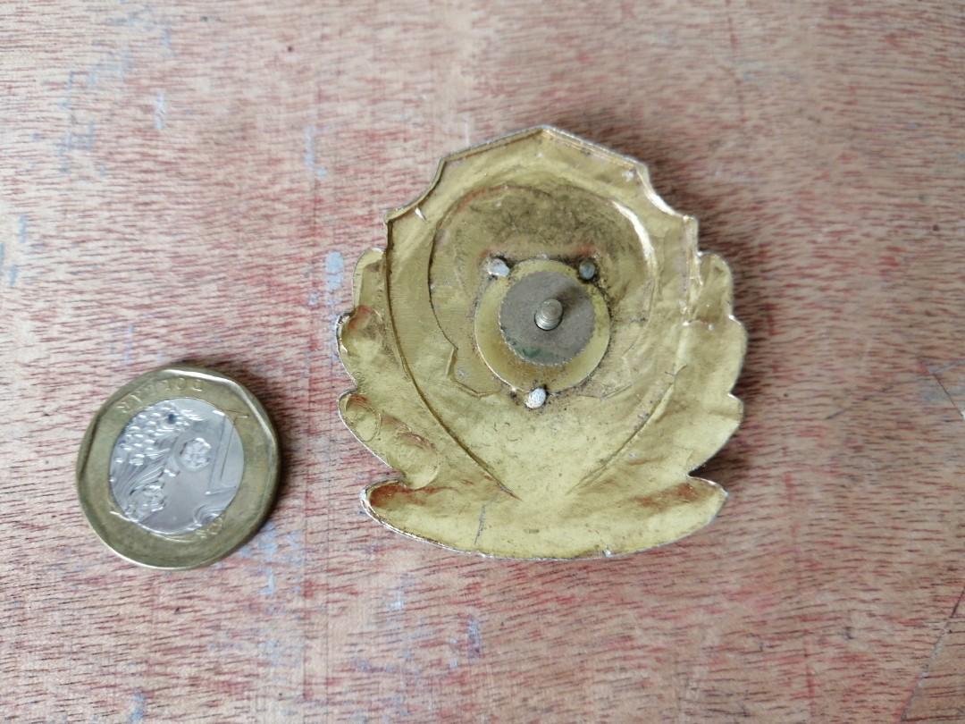 Vintage China Ministry of State Security Badge, Hobbies & Toys ...