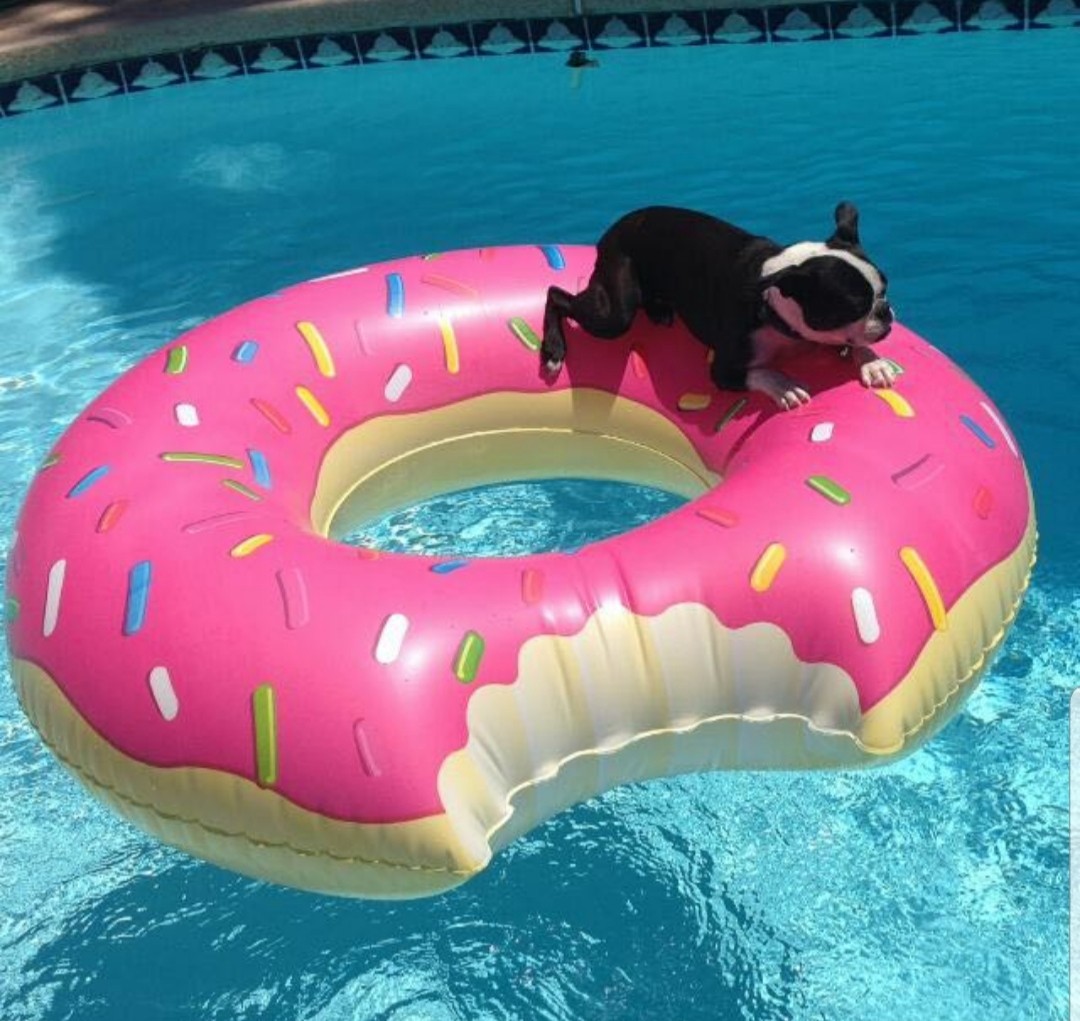 Donut Float large, Babies & Kids, Baby Nursery & Kids Furniture, Other ...