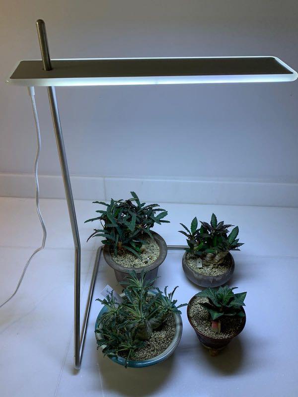 DOOA SOL stand G LED lighting, Furniture & Home Living, Home Decor ...