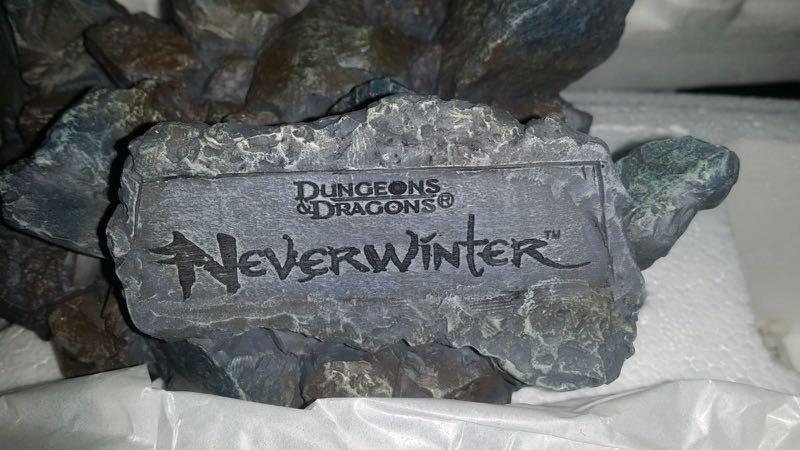 Dungeons & Dragons Neverwinter Noble Crest Collector’s Figure 連珍藏畫册, 興趣 ...