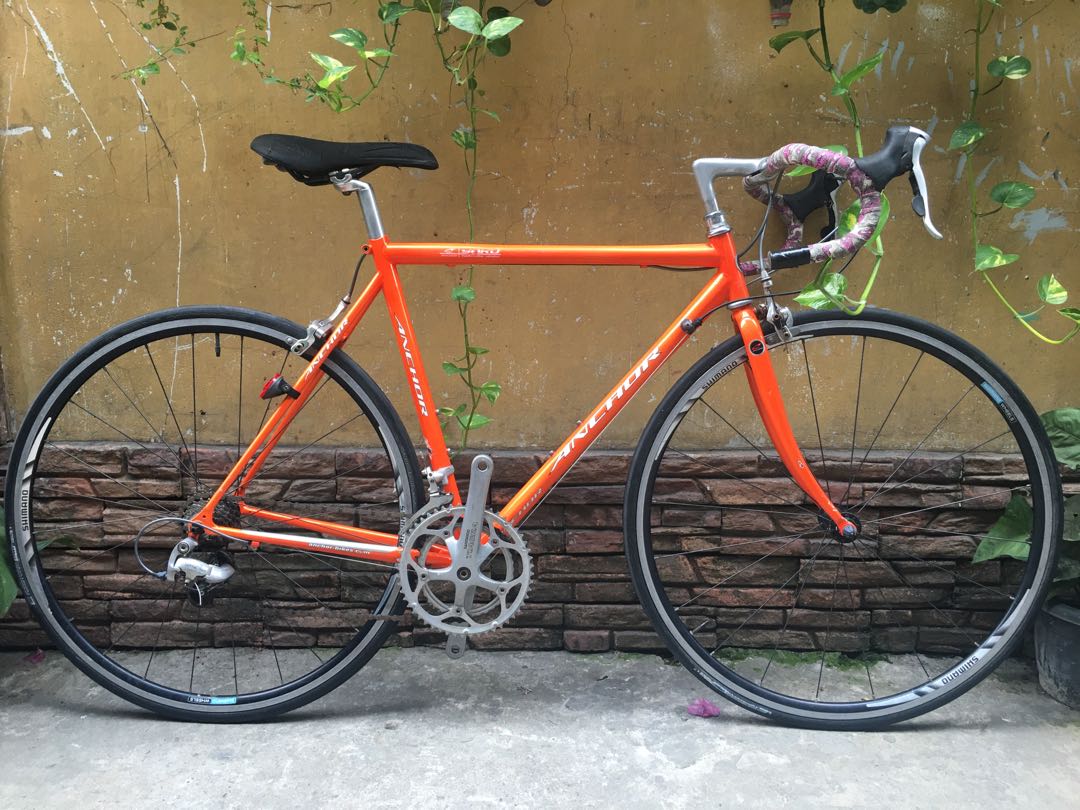 Bridgestone Anchor Neocot Road Bike, Sports Equipment, Bicycles & Parts ...