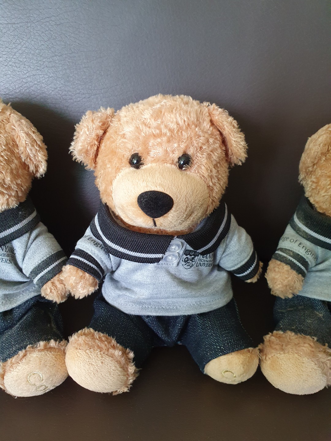 NTU College of Engineering (CoE) Teddy Bear, Hobbies & Toys, Toys ...