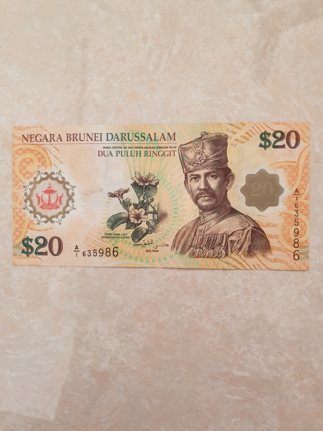 Brunei $20 note, Hobbies & Toys, Memorabilia & Collectibles, Currency ...
