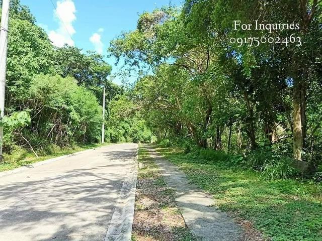 Farm Lot in Angono Rizal Near Antipolo, Property, For Sale, Lot on ...