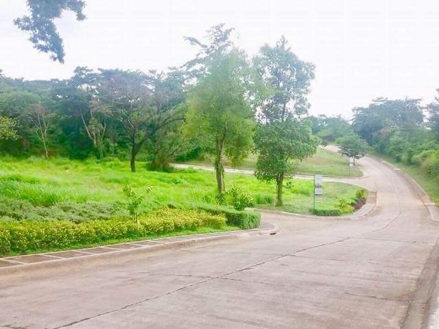 Farm Lot in Angono Rizal Near Antipolo, Property, For Sale, Lot on ...
