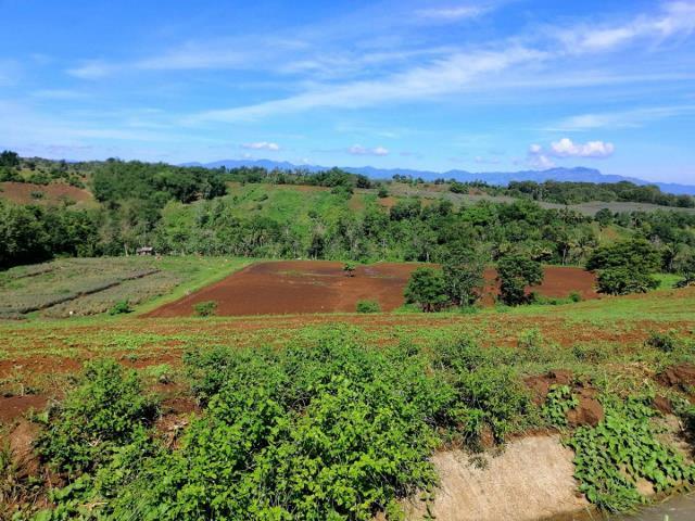 3.3 Hectares Irrigated Farm Imbatug Baungon Bukidnon ARKA Properties ...