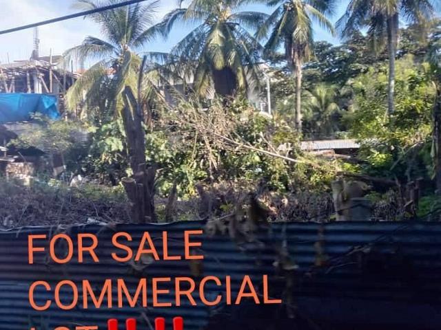 Commercial lot for sale downtown area, Property, For Sale, Commercial ...