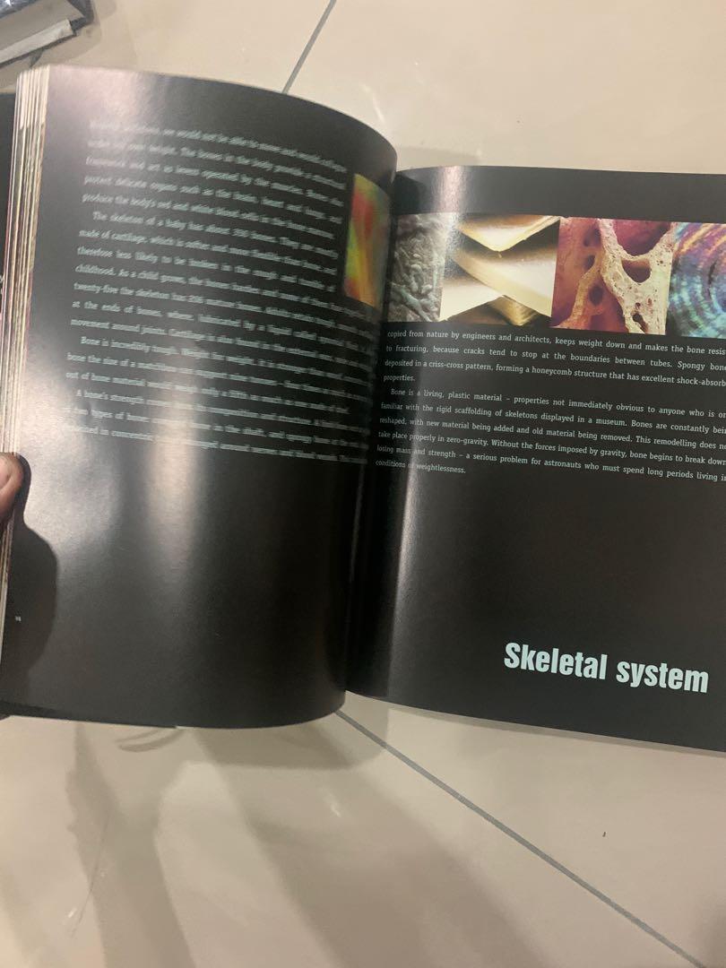 Inside the Body, Hobbies & Toys, Books & Magazines, Children's Books on ...