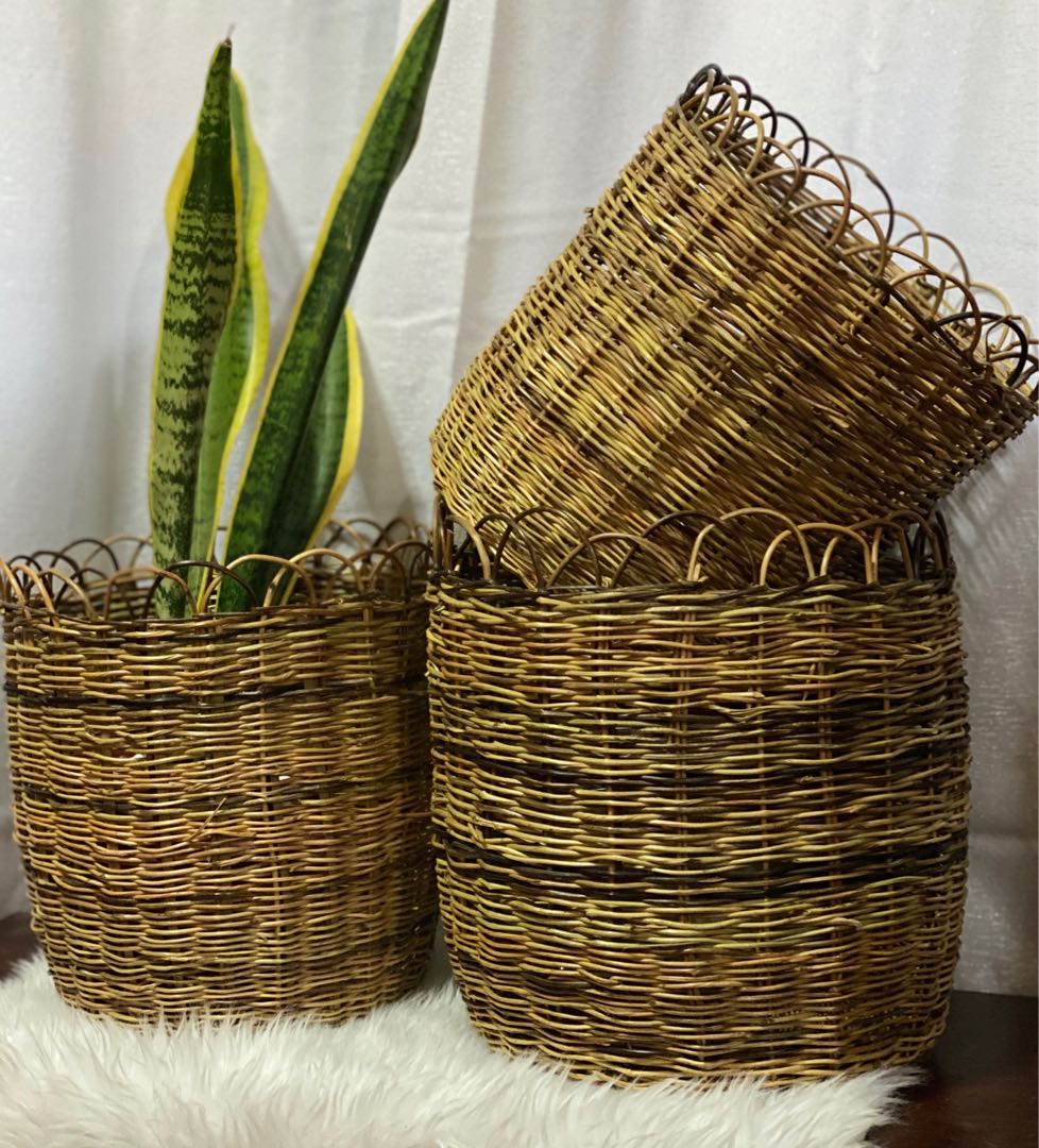Nito Plant Baskets, Furniture & Home Living, Home Improvement ...