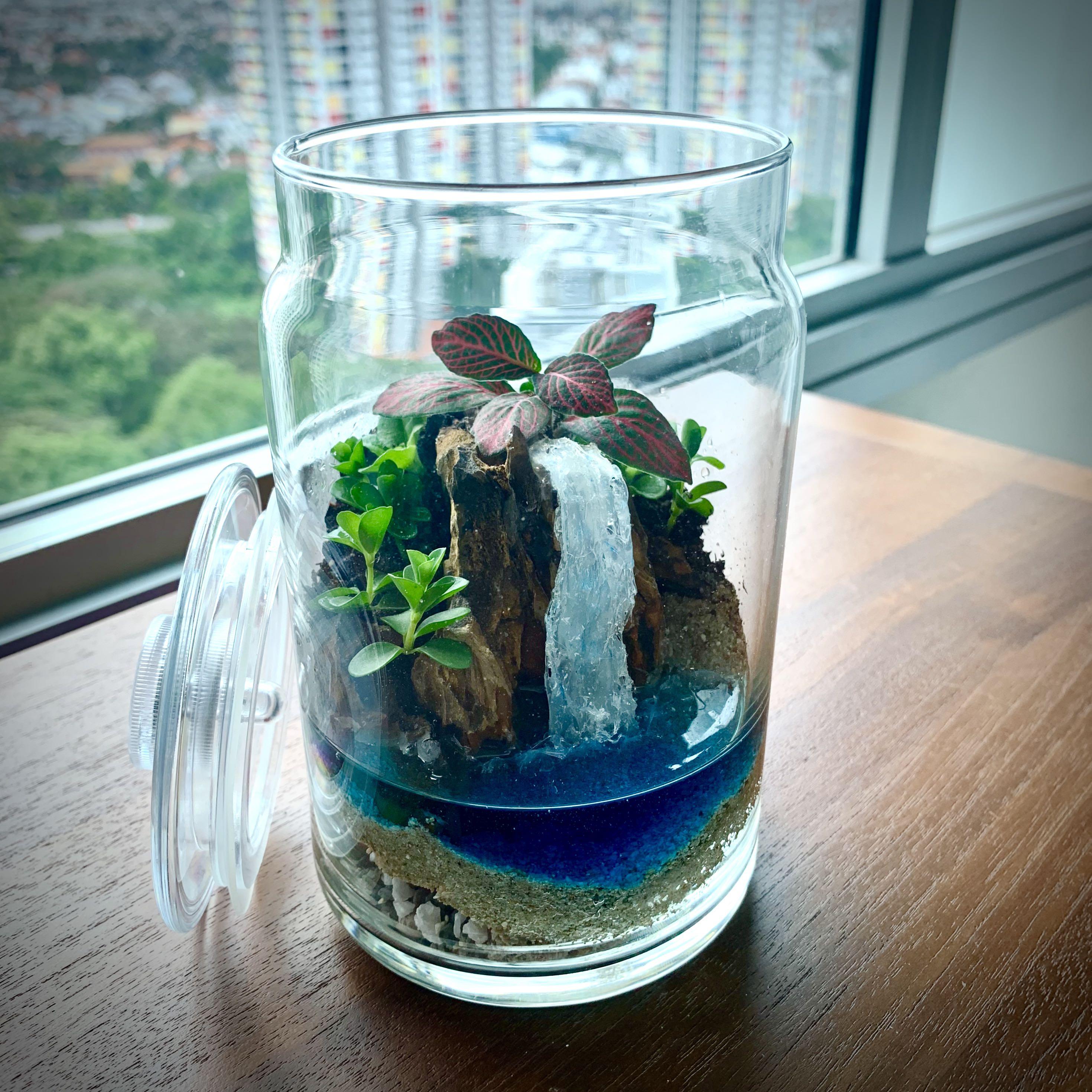 Terrarium with waterfall, Furniture & Home Living, Home Decor ...