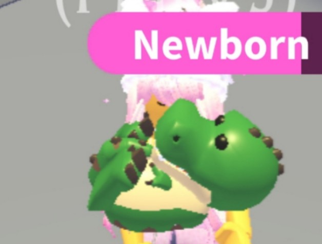 Adopt me T Rex, Everything Else, Others on Carousell