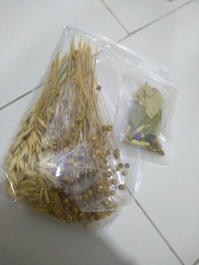 Flax spray/oat spray/millets and dried leaves/herbs, Pet Supplies, Pet ...