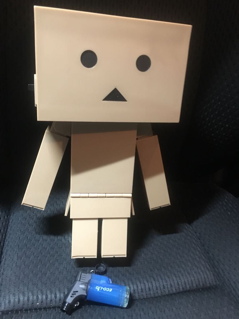 Danboard 30cm, Hobbies & Toys, Collectibles & Memorabilia, Fan ...