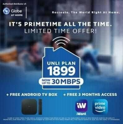 GLOBE AT HOME BROADBAND FIBER CONNECTION, Computers & Tech, Parts ...