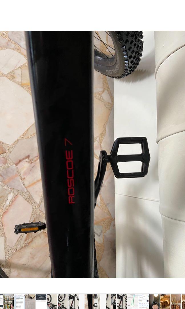 Roscoe 7 2019, Sports Equipment, Bicycles & Parts, Bicycles on Carousell