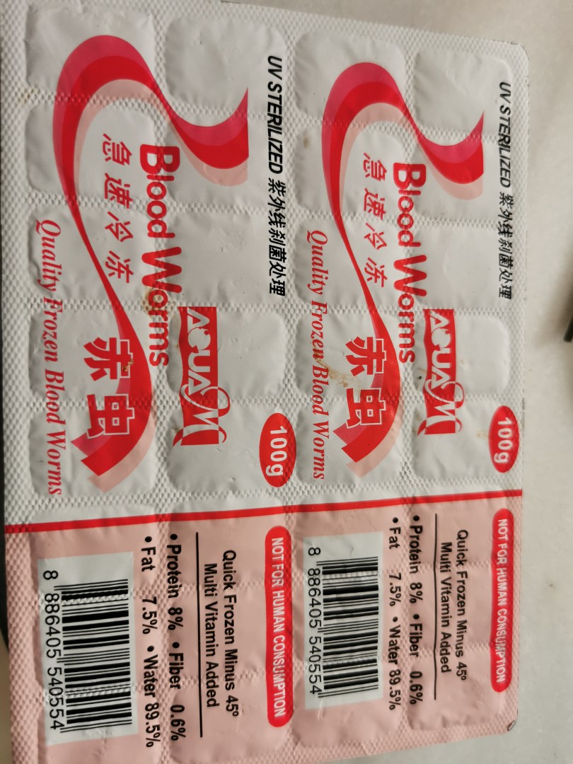 aqua quality frozen blood worm, Pet Supplies, Pet Food on Carousell